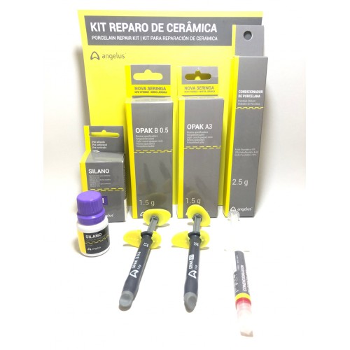ANGELUS DENTAL PORSELEN DİŞ TAMİR TAKIM SETİ